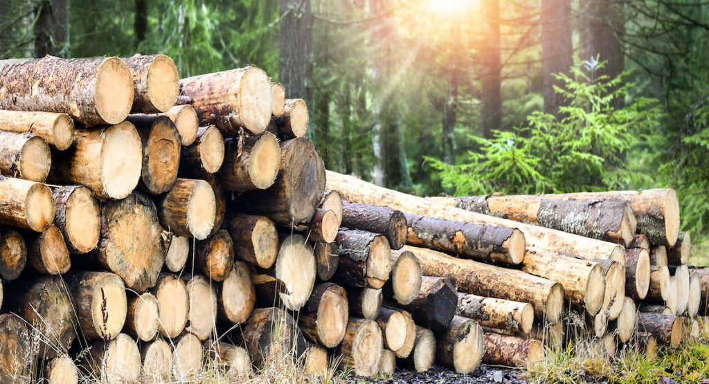 Budget 2021, Investing in the Forest-Based Bio-economy – Wood Industry