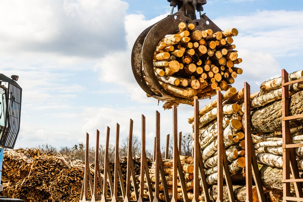 Acadian Timber Corp’s third quarter results – Wood Industry