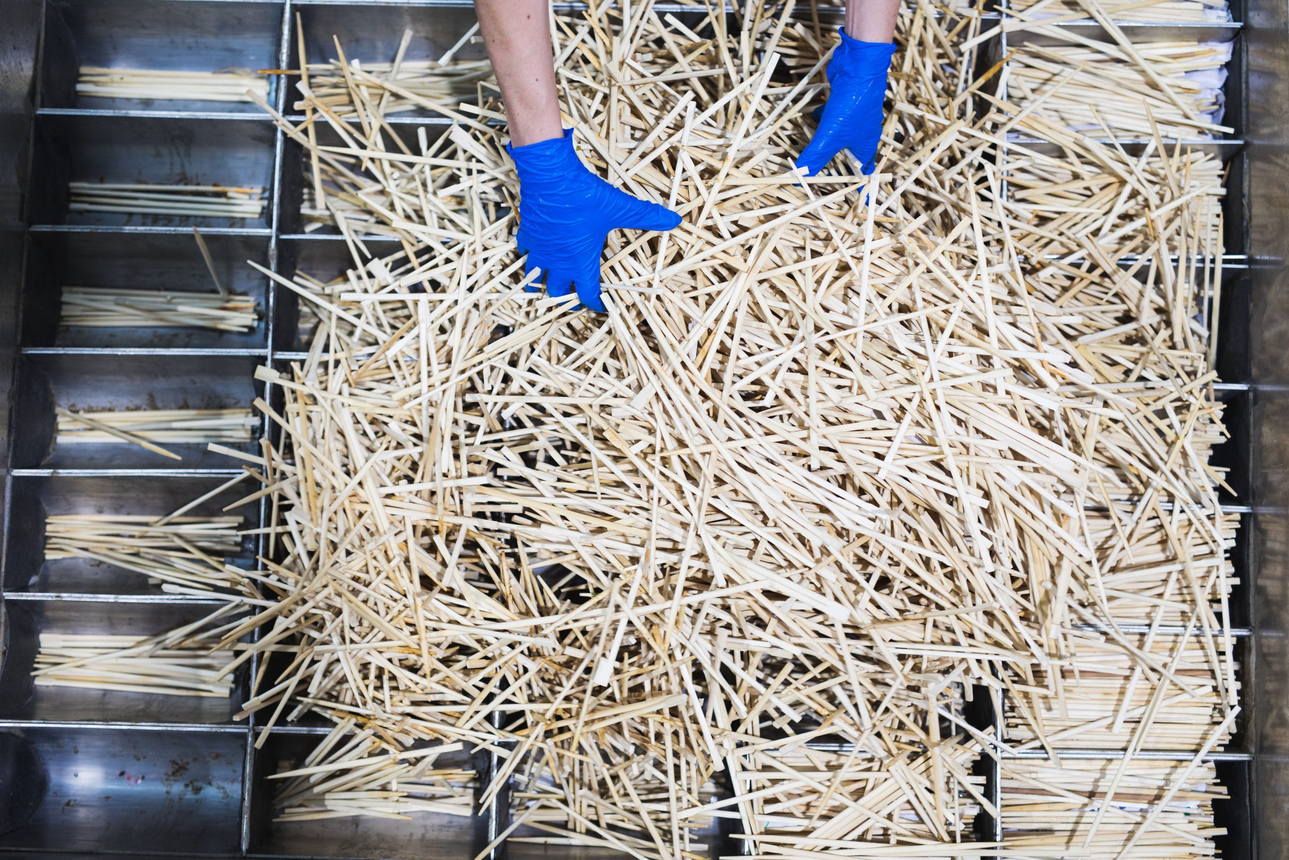 ChopValue: Sticking to innovation – Wood Industry