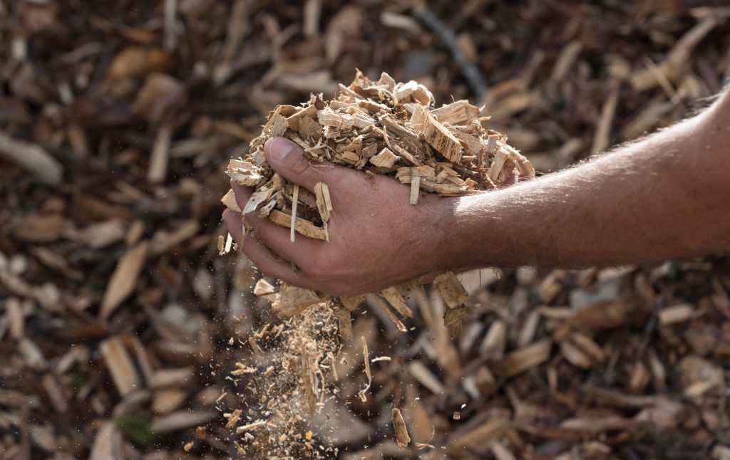 Ontario’s Forest Biomass Action Plan – Wood Industry
