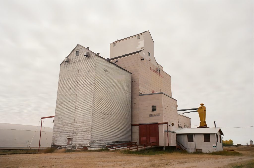 Going with the Grain: ABTM Wood Solutions’ wood reclamation venture ...