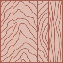 Veneers matching arrangements – Wood Industry