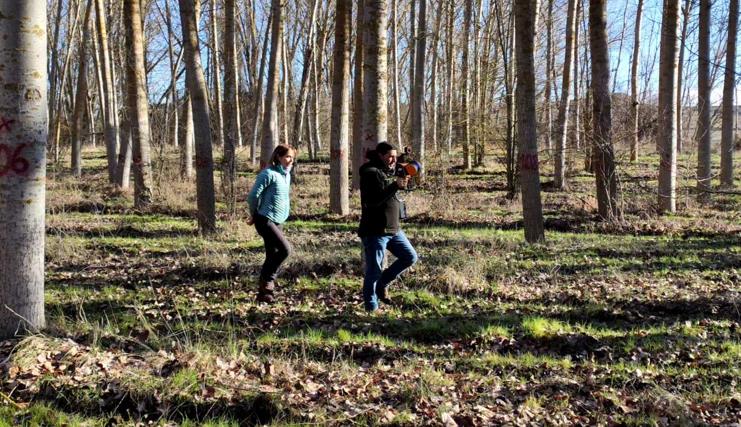 Harnessing AI for Sustainable Forestry – Wood Industry