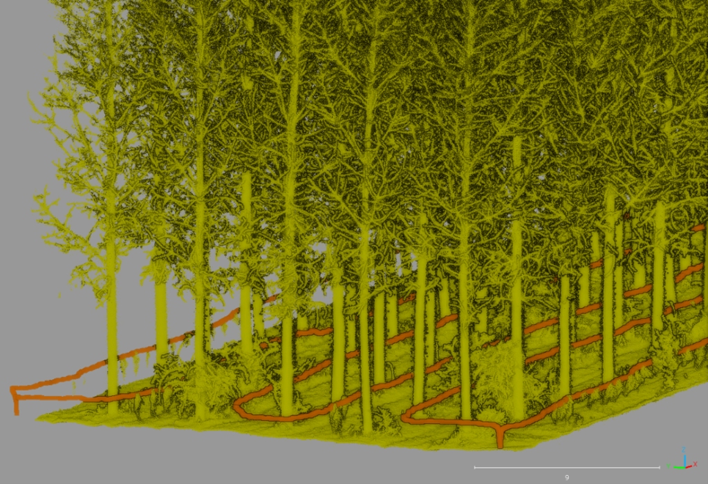 Harnessing AI for Sustainable Forestry – Wood Industry