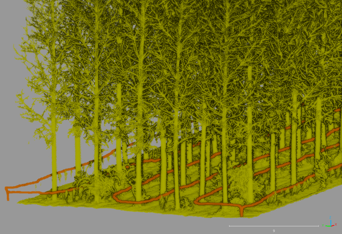 Harnessing AI for Sustainable Forestry – Wood Industry