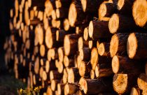 AWMAC 2025 Convention and AGM Highlight Standards-Driven Growth – Wood ...